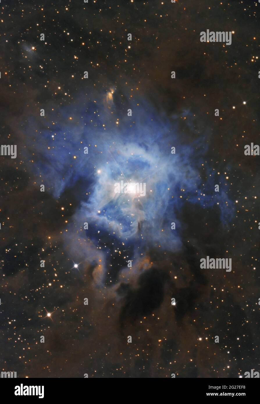 NGC 7023, the Iris Nebula Stock Photo - Alamy
