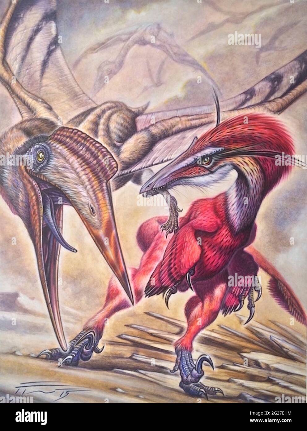 Austroraptor Skeleton