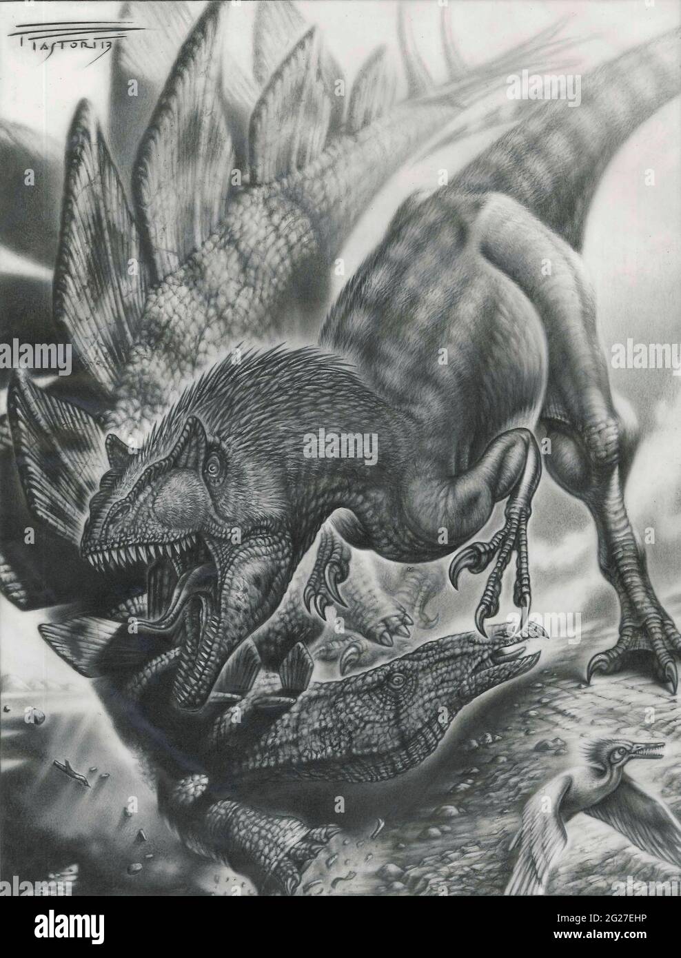 Allosaurus vs. Stegosaurus, graphite Stock Photo - Alamy