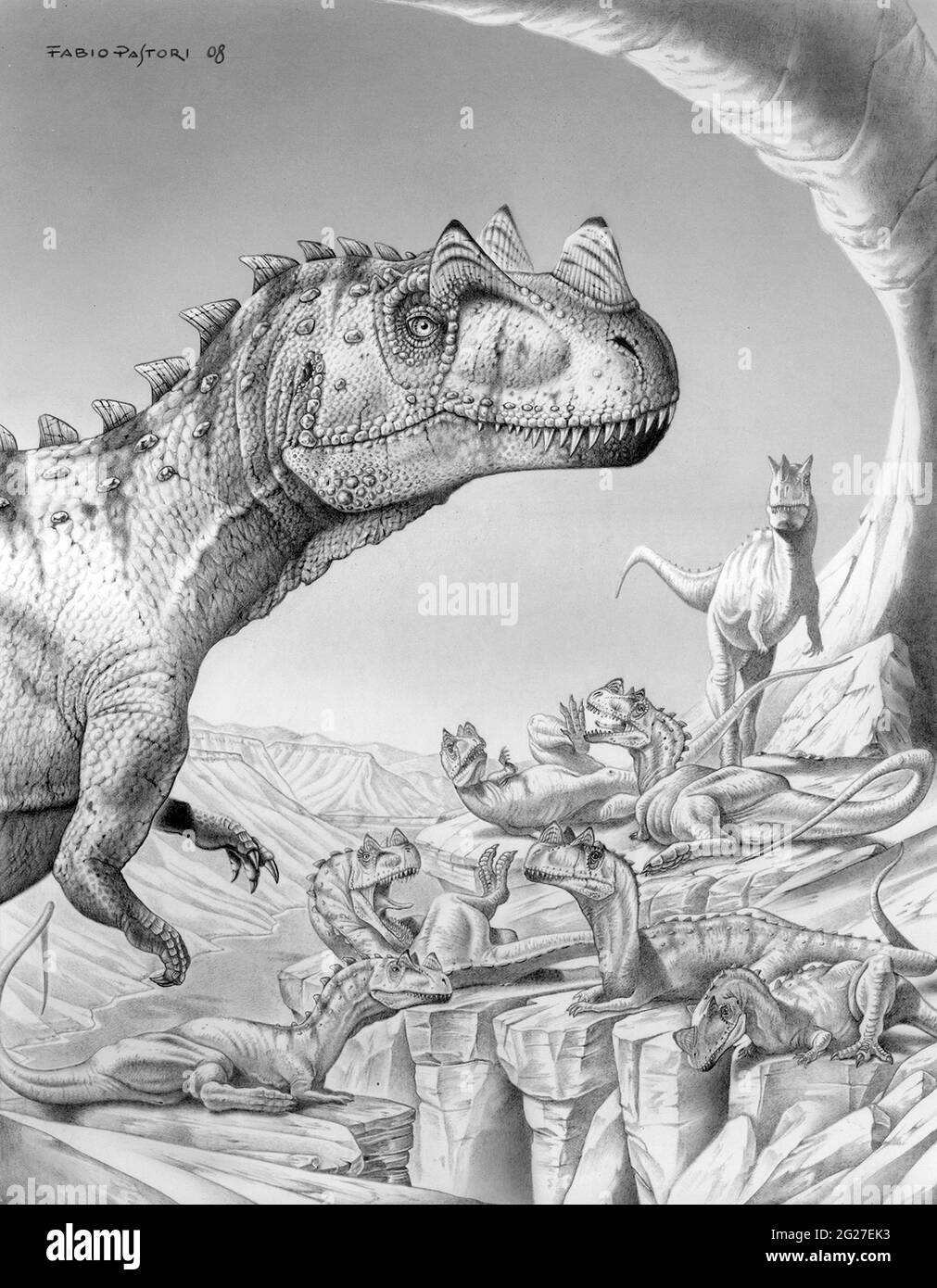 Ceratosaurus nasicornis dinosaur family Stock Photo - Alamy