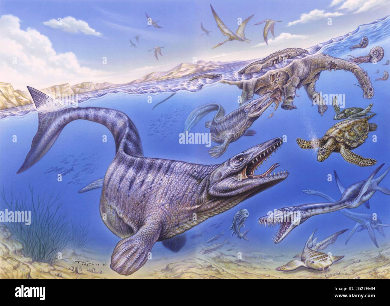Cretaceous Period Sea Creatures