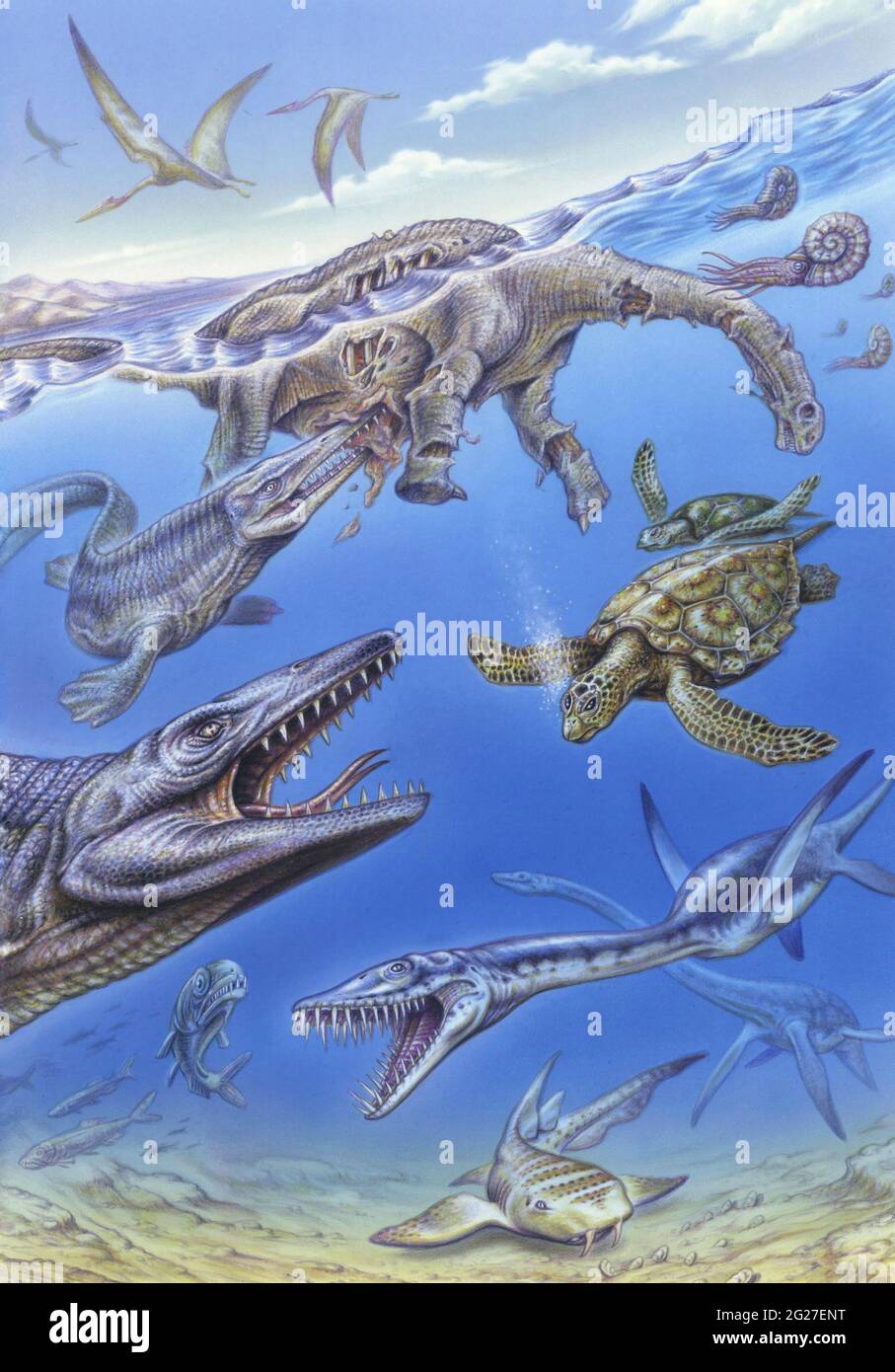 Reconstruction of the fauna in Lembe's Ocean during the Late Cretaceous ...