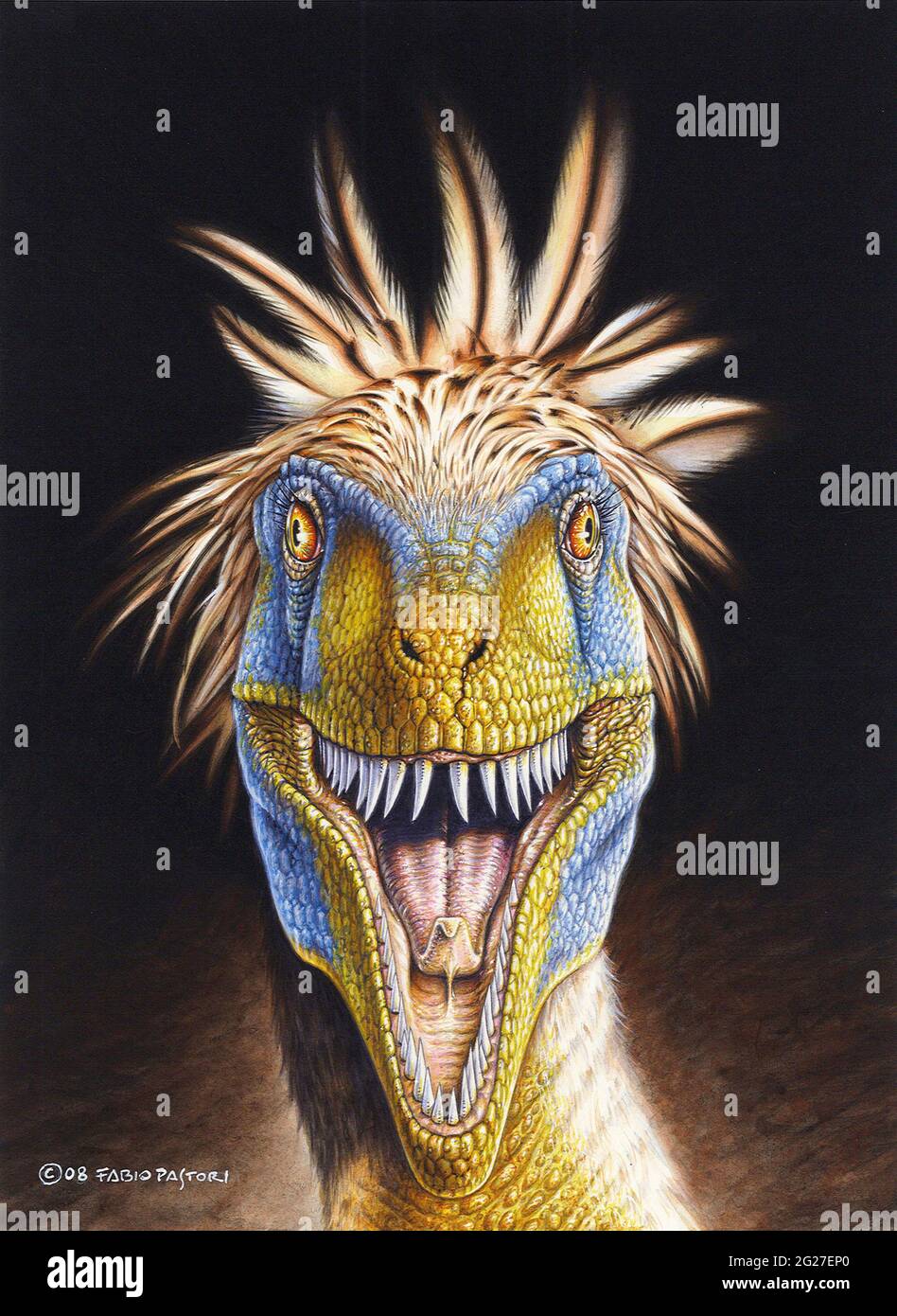 Neuquenraptor argentinus, front view Stock Photo - Alamy