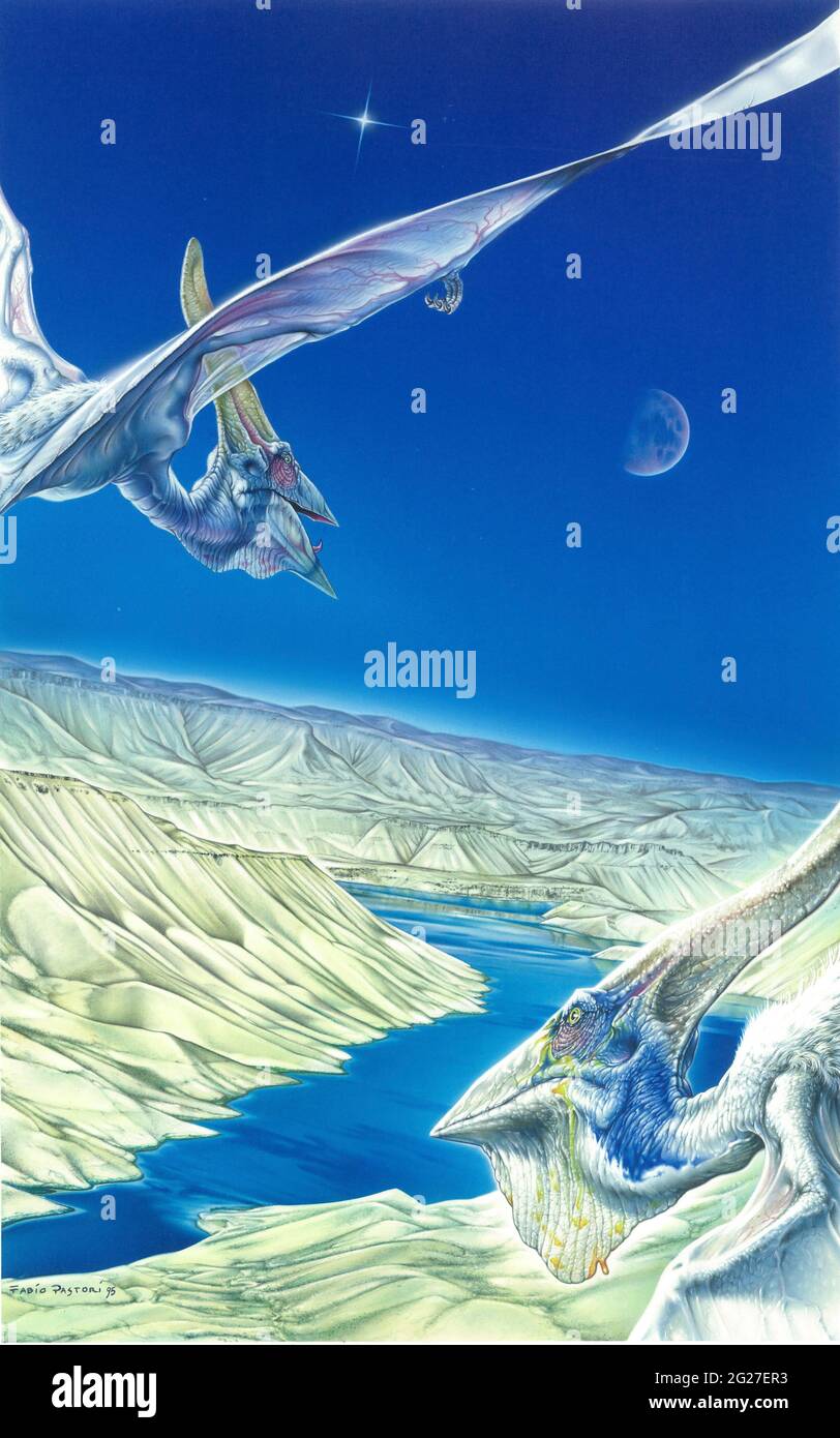 Prehistoric flying animals hi-res stock photography and images - Alamy