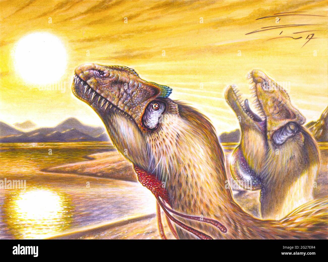 Siats meekerorum couple by the water at sunset Stock Photo - Alamy