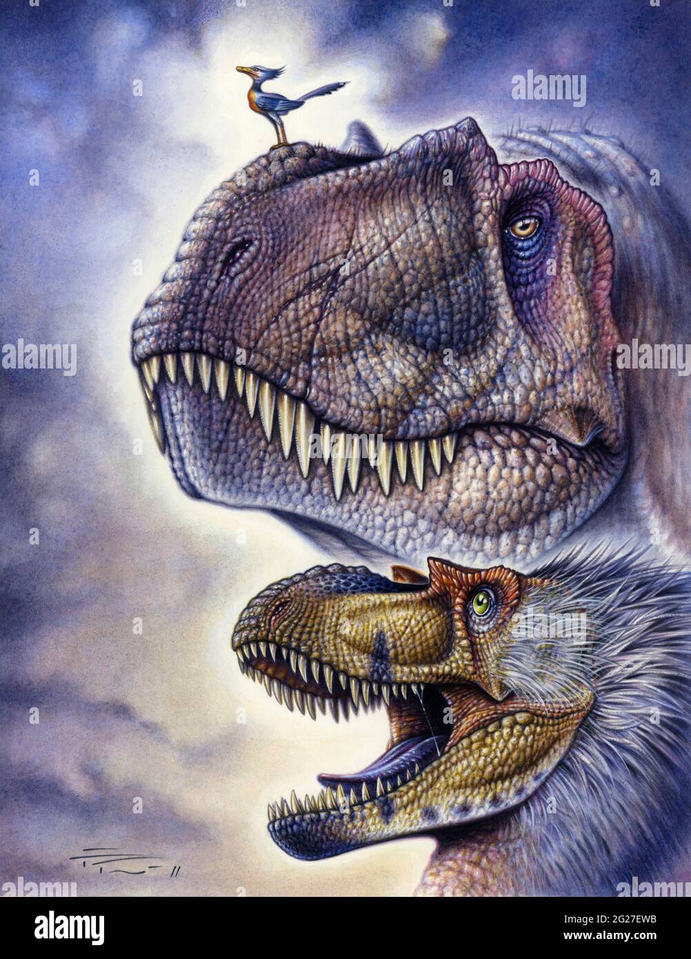 Acrylic painting of Albertosaurus, Gorgosaurus and Enantiornithes Stock ...