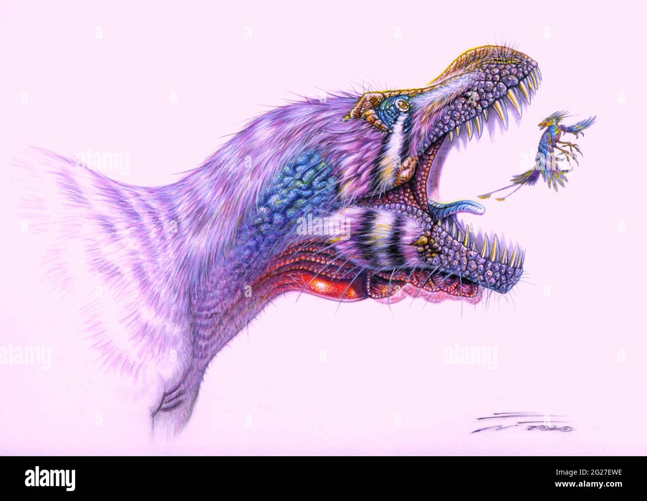 Side view tyrannosaurus rex dinosaur hi-res stock photography and ...