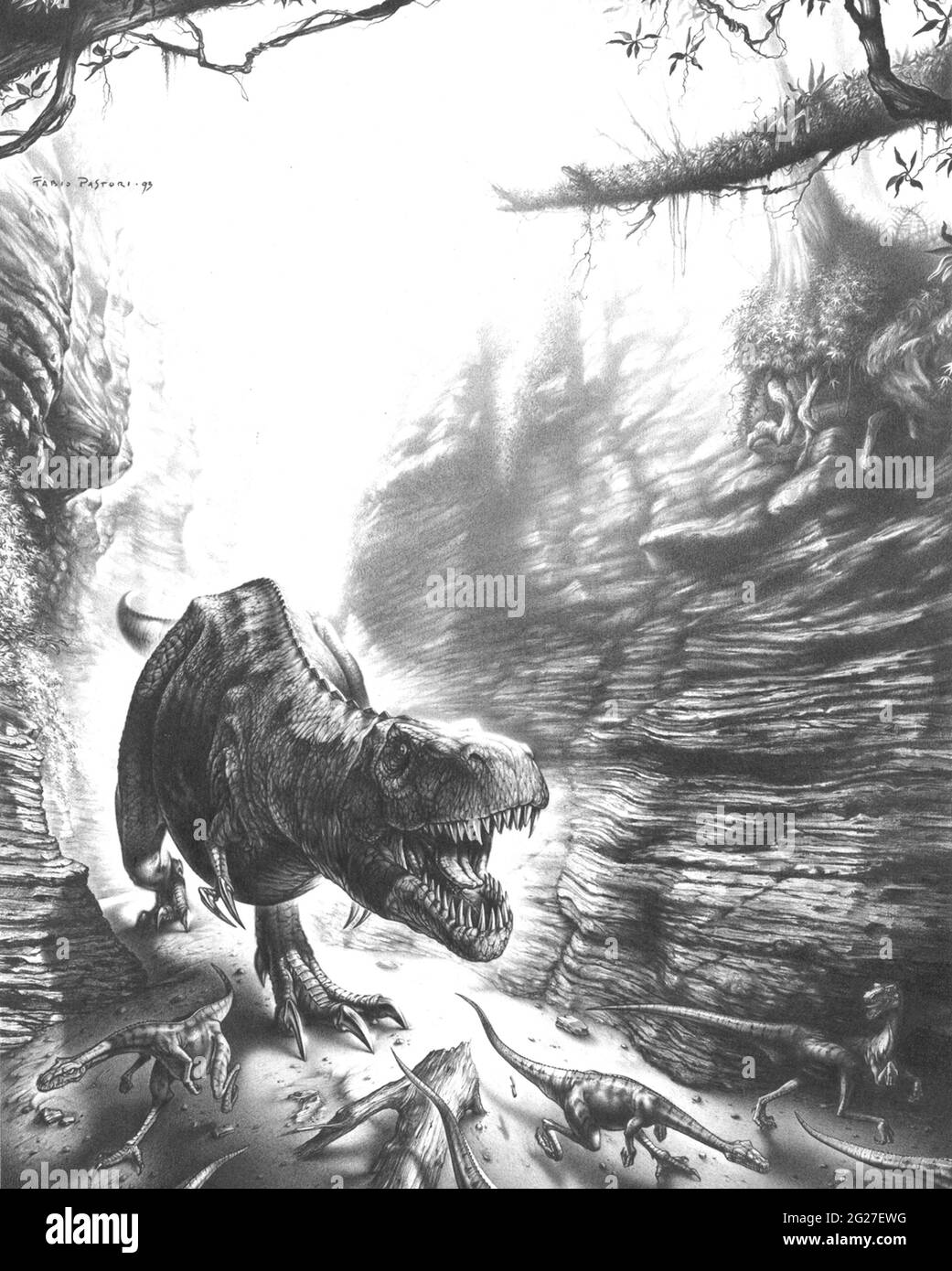 Dinosaur tarbosaurus Black and White Stock Photos & Images - Alamy