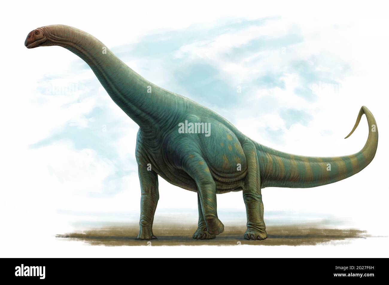 Spinophorosaurus nigerensis, side view Stock Photo - Alamy