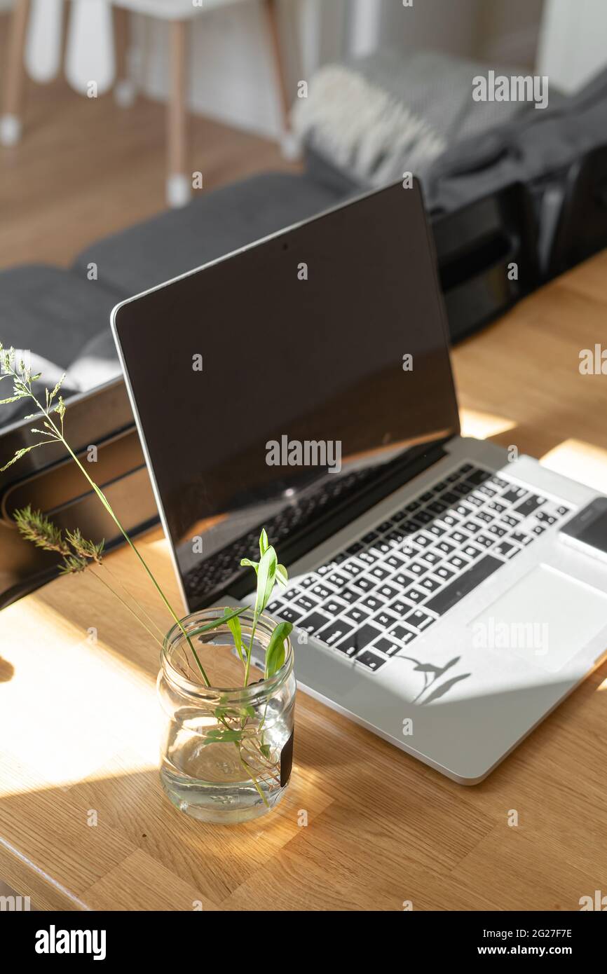 Vertical photo of laptop on wooden home table in kitchen, plants in ...