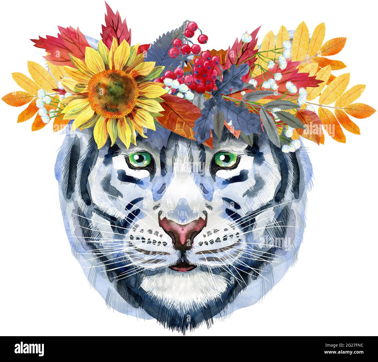Watercolor illustration of white smiling tiger Stock Photo - Alamy