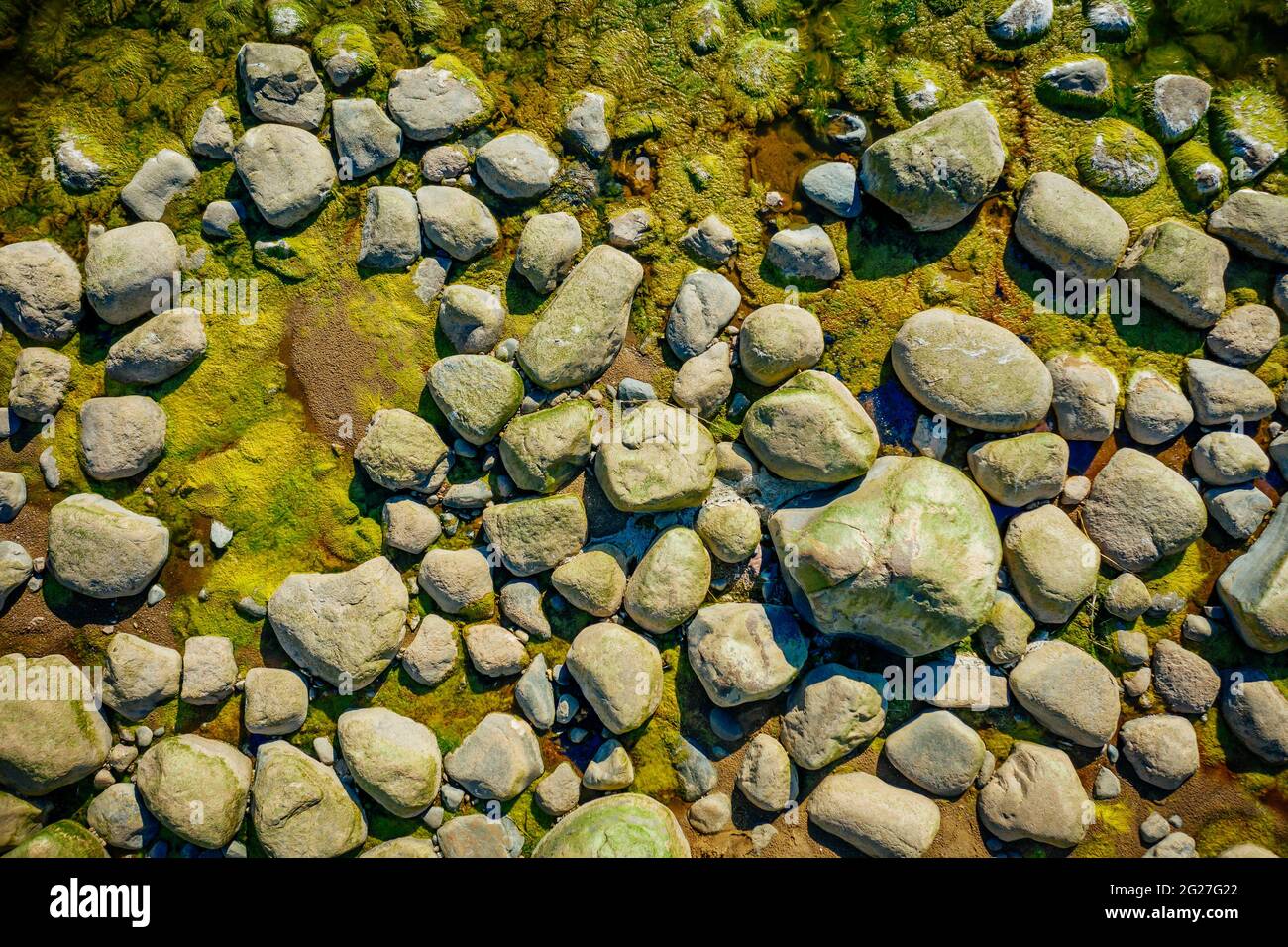 Aerial shot of the rocky Baltic seashore with green sea algae on stones ...