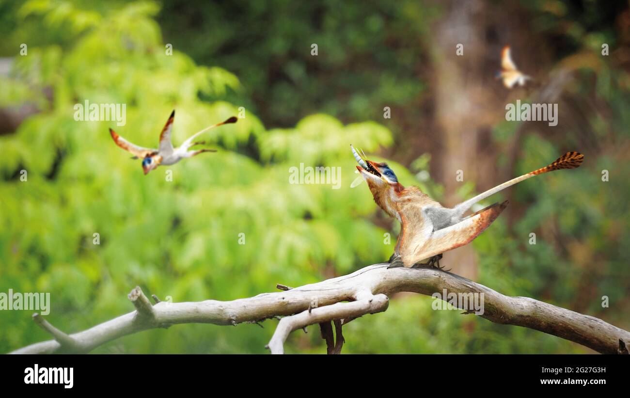 Pterodactyloid Pterosaur High Resolution Stock Photography and Images ...