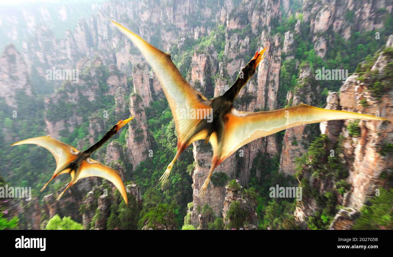 Prehistoric Fly High Resolution Stock Photography and Images - Alamy