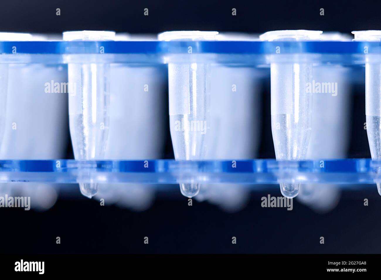 Science Plastic Test Centrifuge Tubes Stock Photo - Alamy