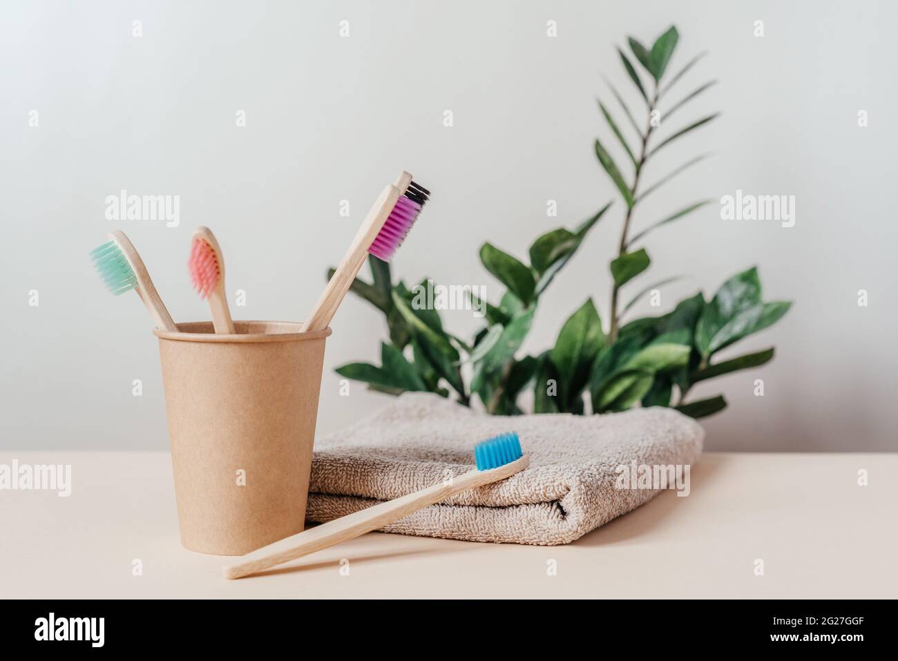 Eco friendly bamboo toothbrushes of different colors in paper cup, zero ...