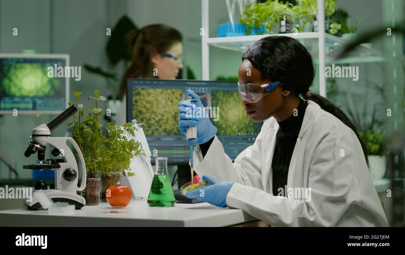 Biologist scientist african woman researcher taking genetic solution ...