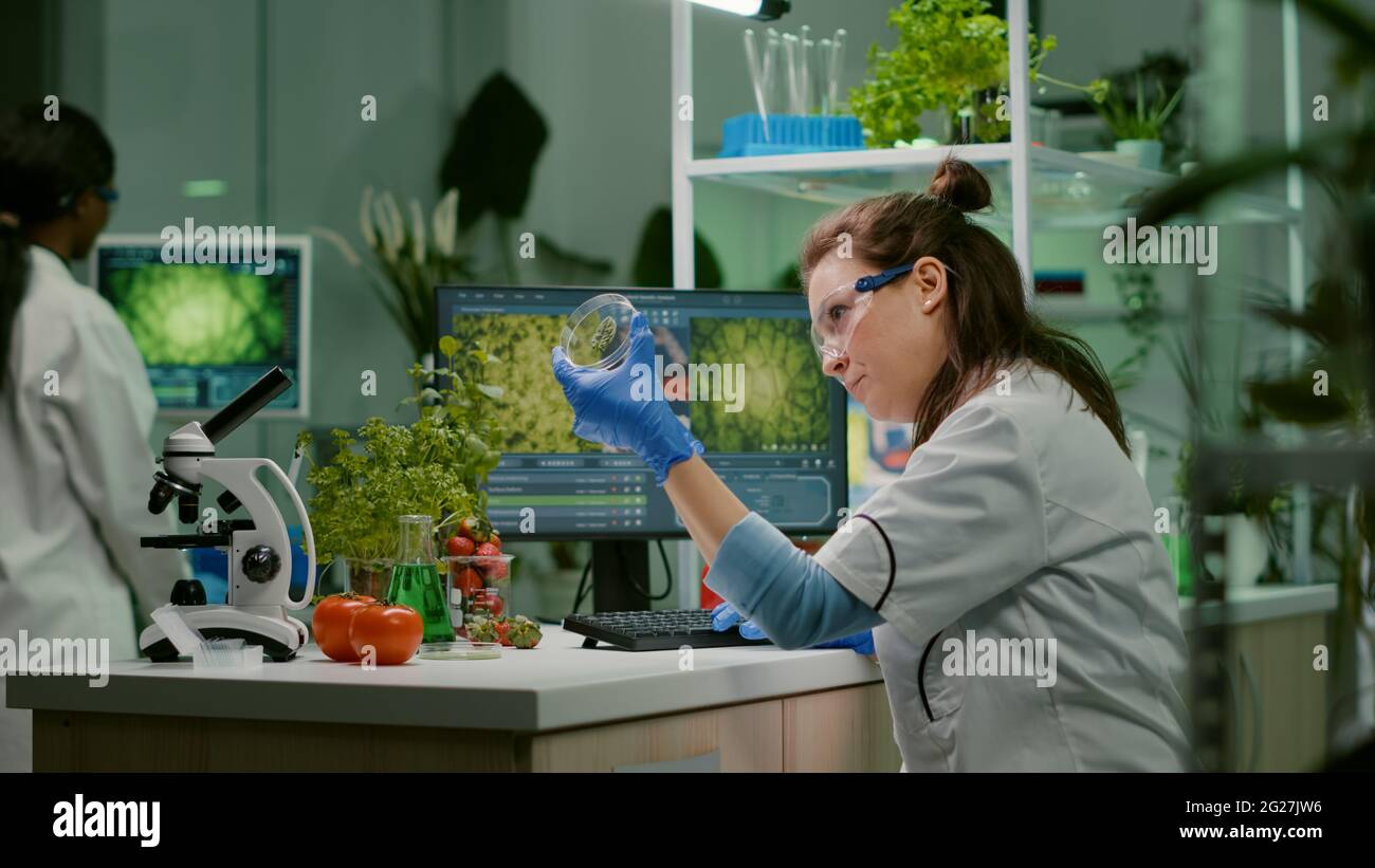 Botanist researcher typing medical expertise on computer while ...