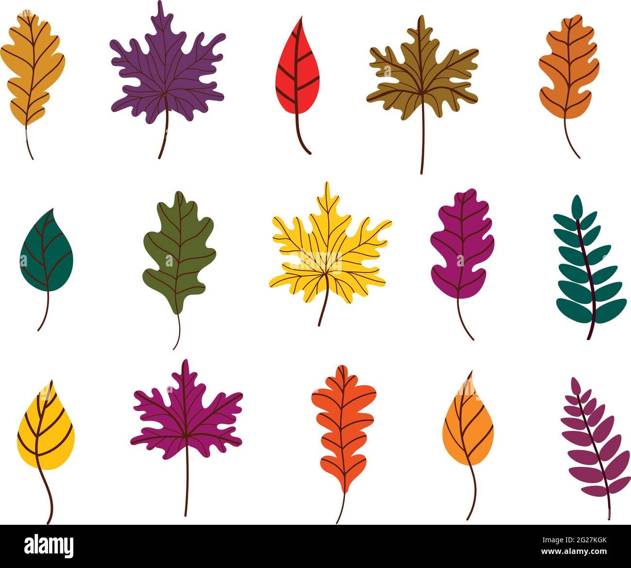 Birch Leaf Designs Clipart