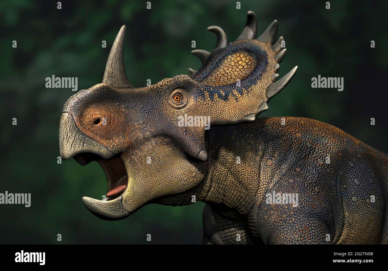 Sinoceratops dinosaur portrait Stock Photo - Alamy