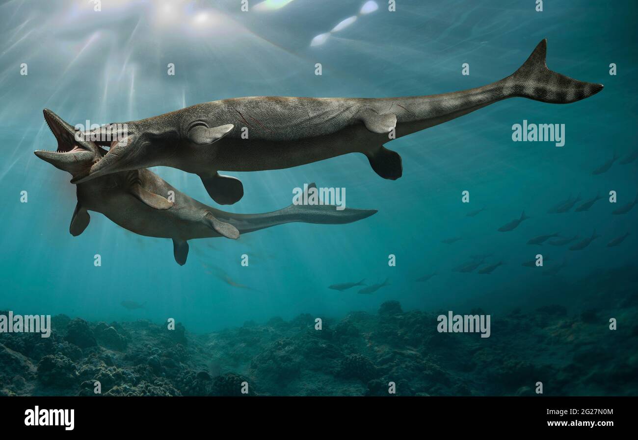 Mosasaurus swimming hi-res stock photography and images - Alamy