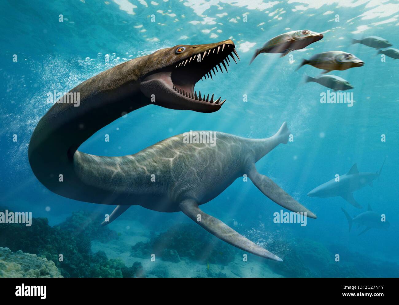 Thalassomedon, a genus of plesiosaur, fishing under the North America ...