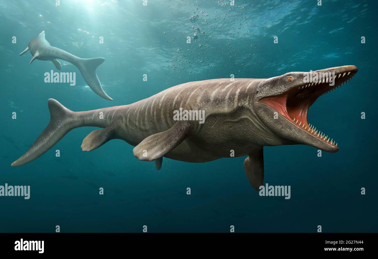Tylosaurus