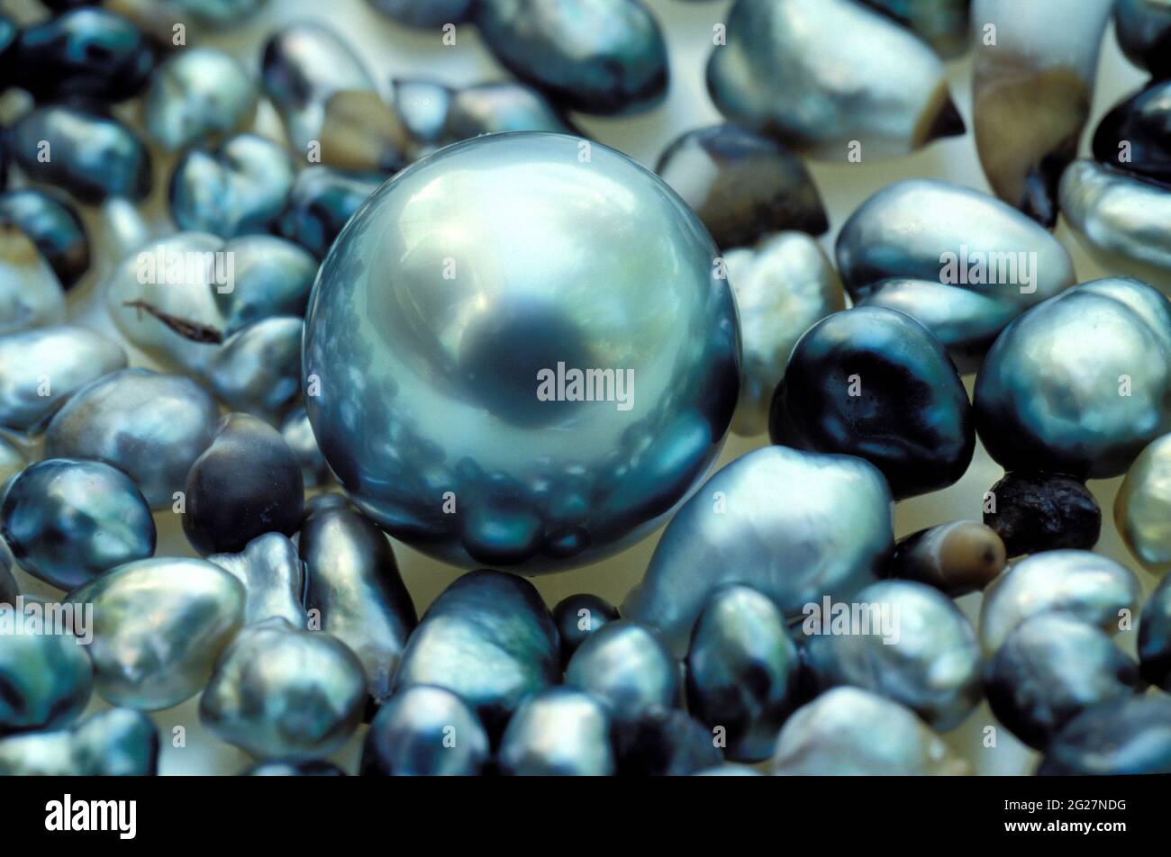 FRENCH POLYNESIA. CULTIVATION OF THE BLACK PEARL Stock Photo - Alamy