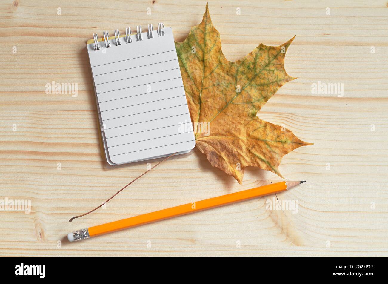 Notepad with a pencil and autumn leaves on a light wooden background ...