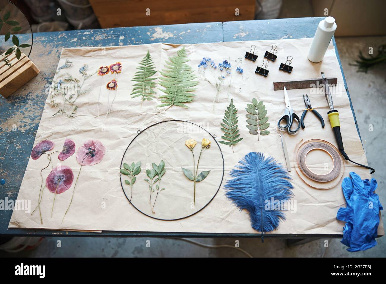 Herbarium sheet hi-res stock photography and images - Alamy