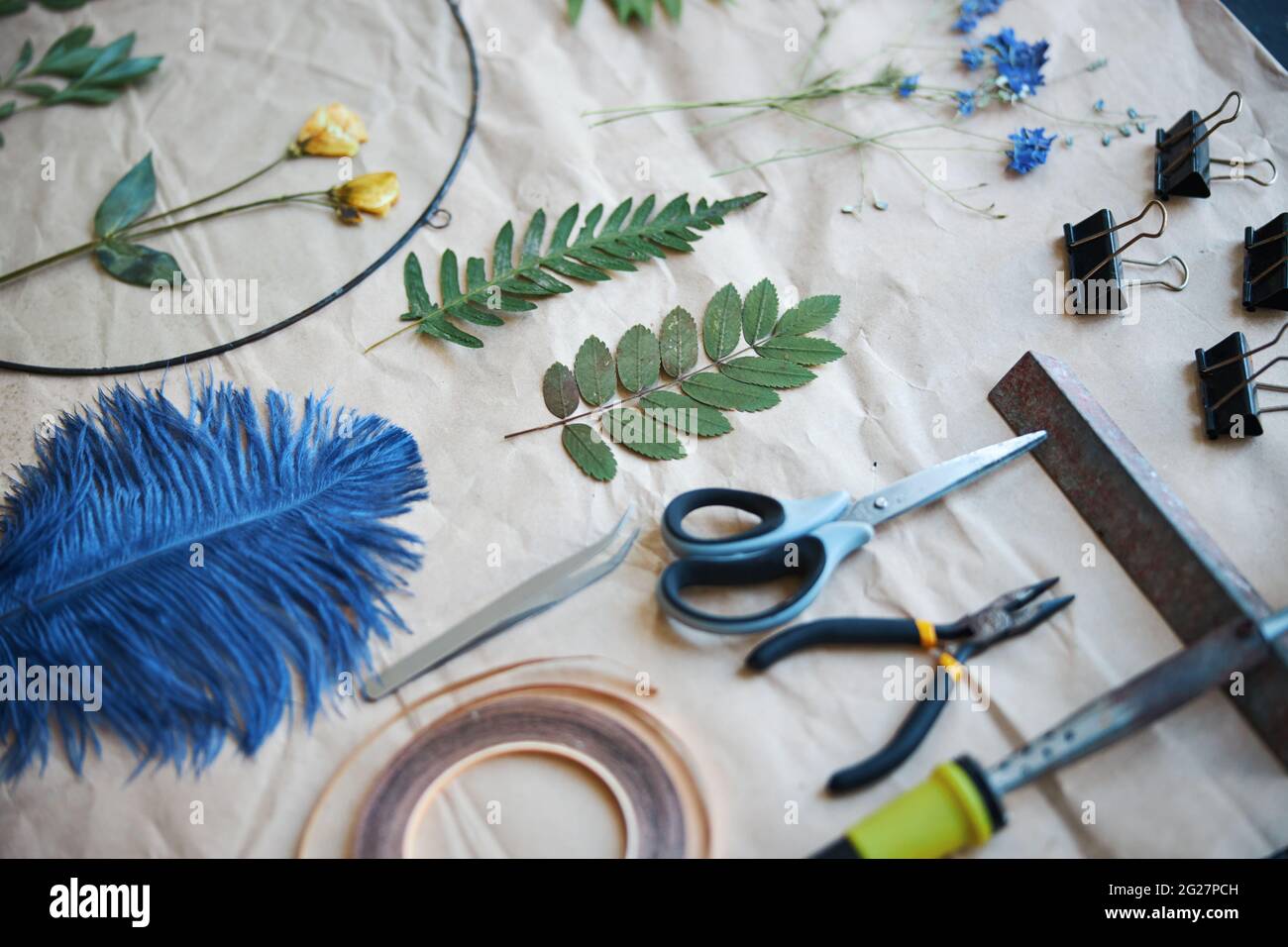 Herbarium sheet hi-res stock photography and images - Alamy