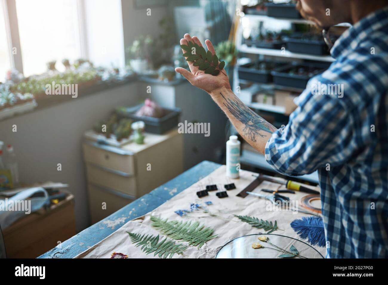 Herbalist workshop hi-res stock photography and images - Alamy