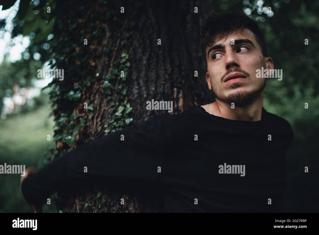 Think forest hi-res stock photography and images - Alamy