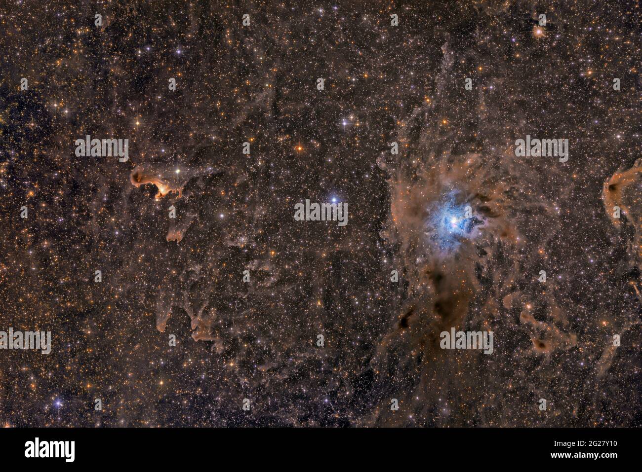 Iris Nebula NGC 7023 and Ghost Nebula VdB 141 Stock Photo - Alamy