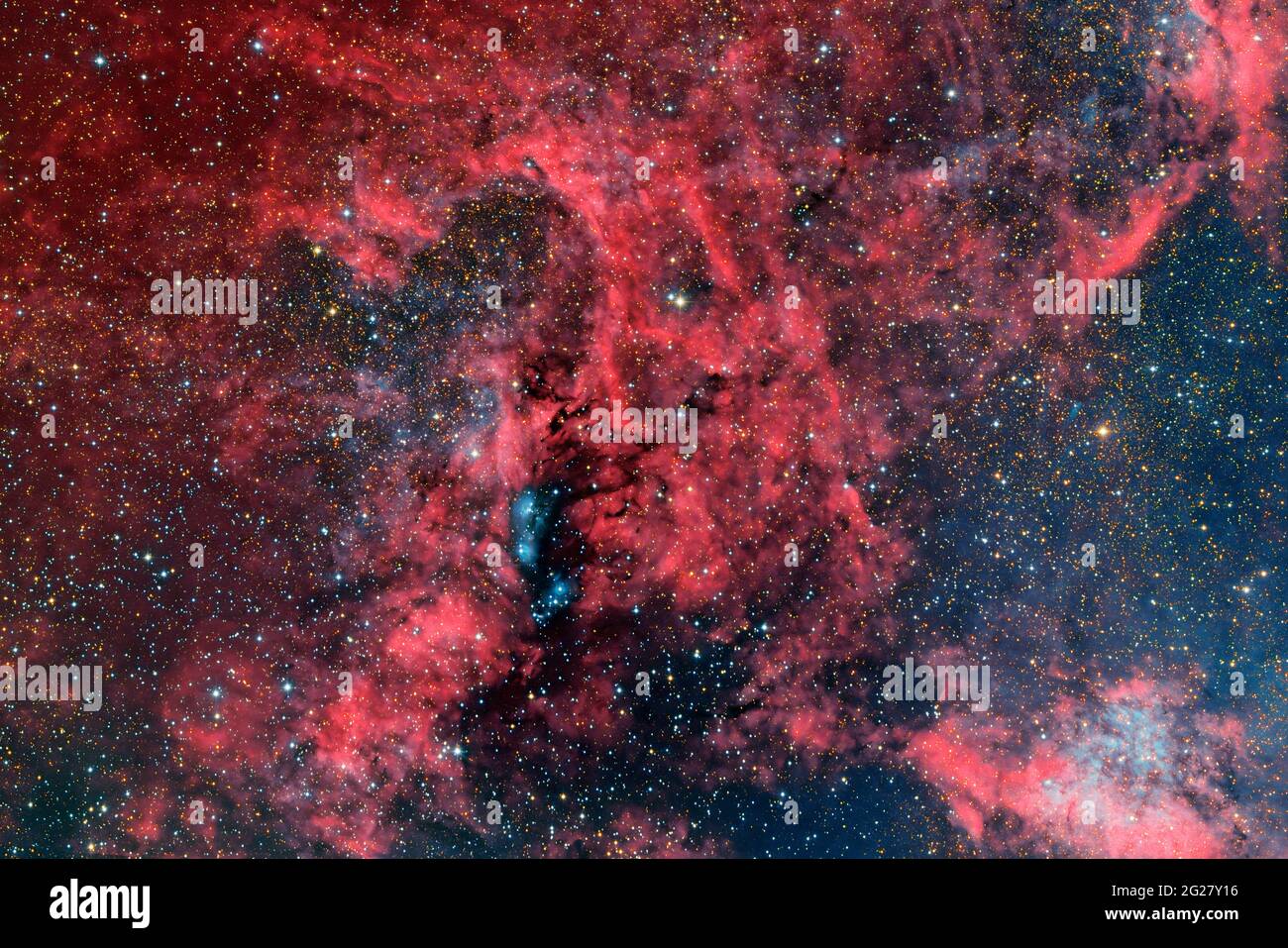 Reflection nebula NGC 6914 in Cygnus Stock Photo - Alamy
