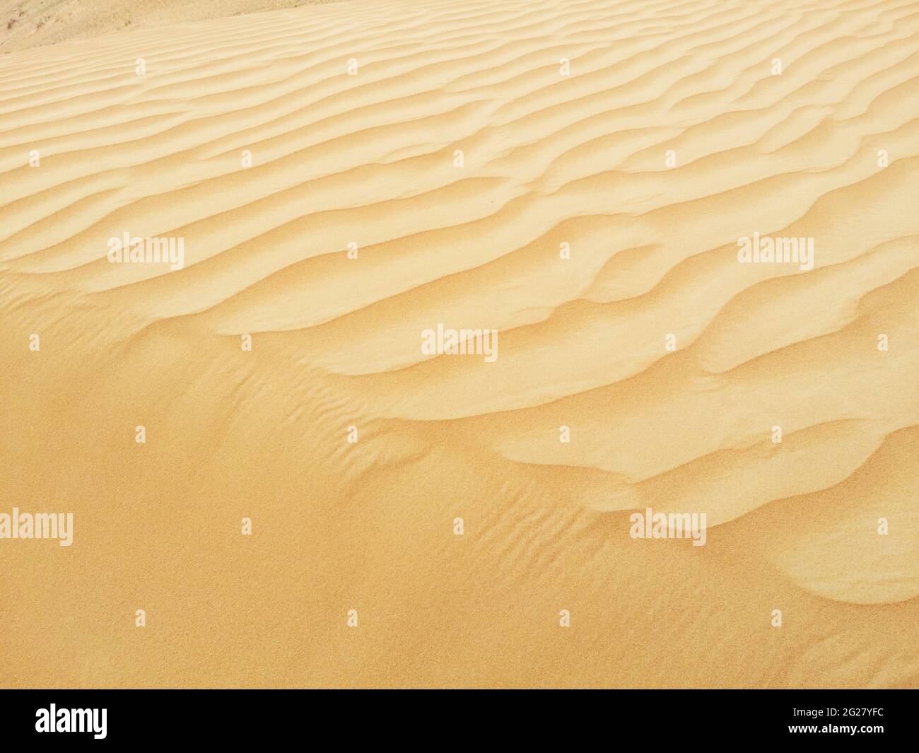 Great Sahara Desert dunes Sand Sea Stock Photo - Alamy