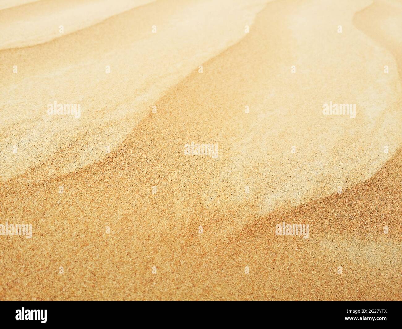 Great Sahara Desert dunes Sand Sea Stock Photo - Alamy