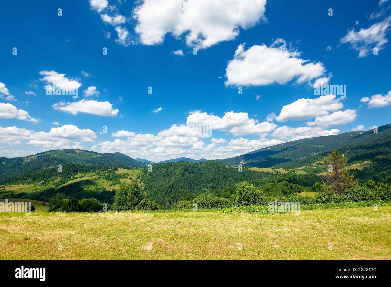 rural field in mountains. beautiful nature landscape. sunny summer day ...