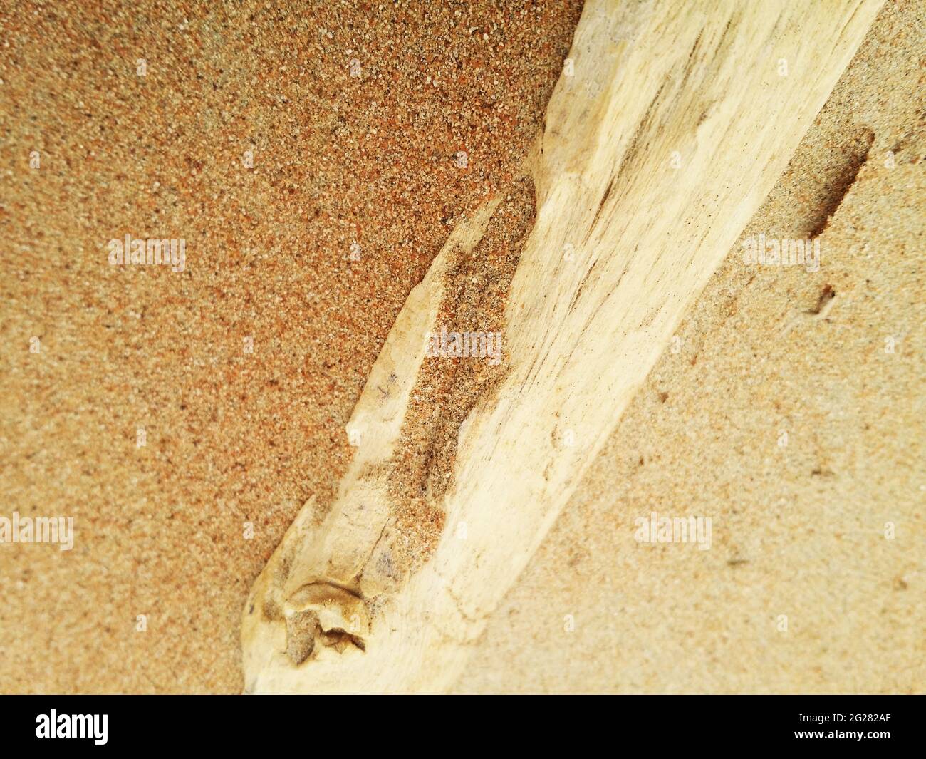 Great Sahara Desert dunes Sand Sea Stock Photo - Alamy