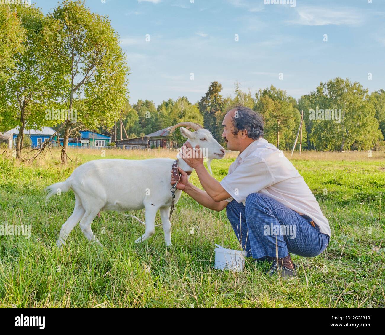 Man milks udder goat milking hi-res stock photography and images - Alamy