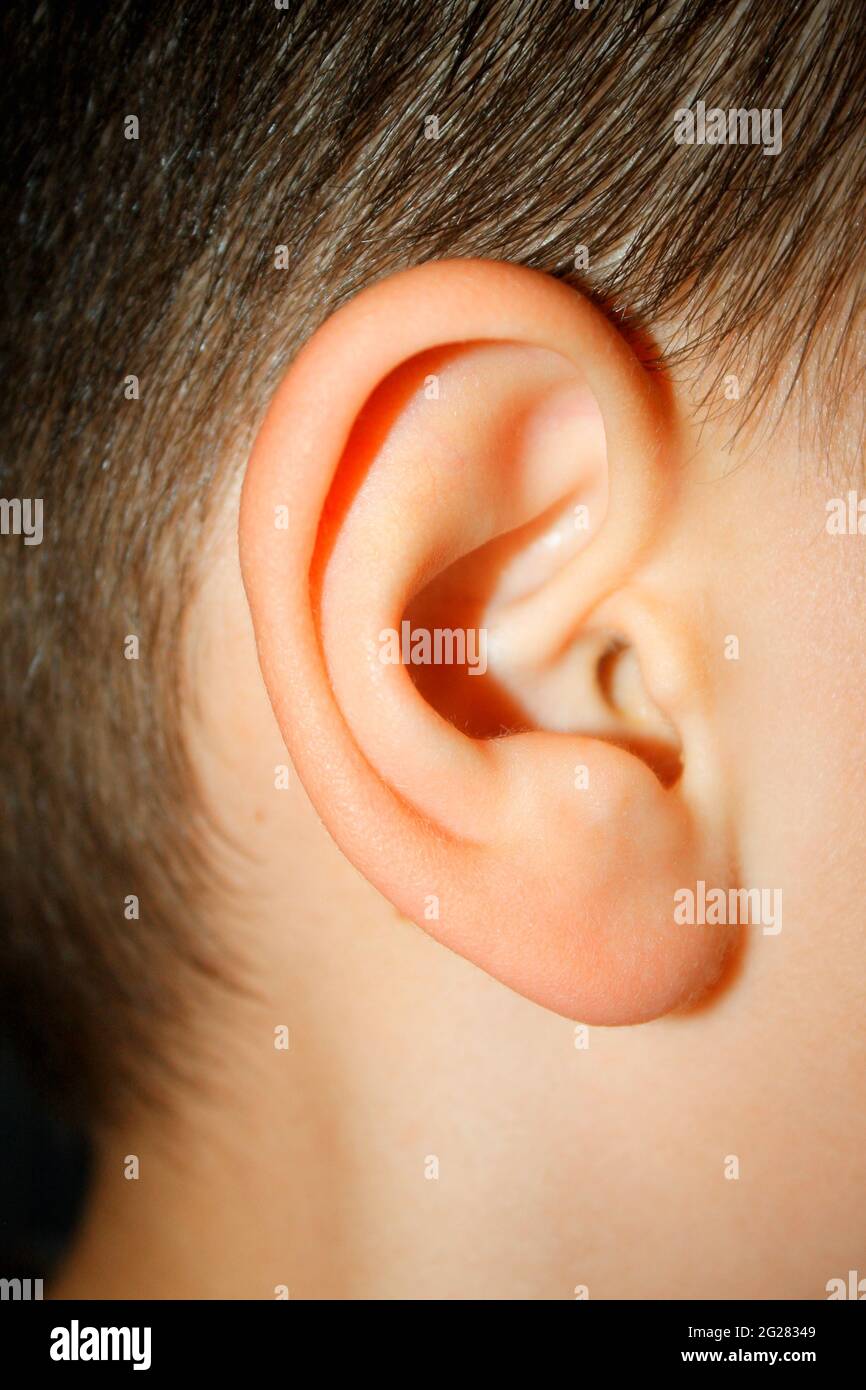 little boys ear - macro look on part Stock Photo - Alamy