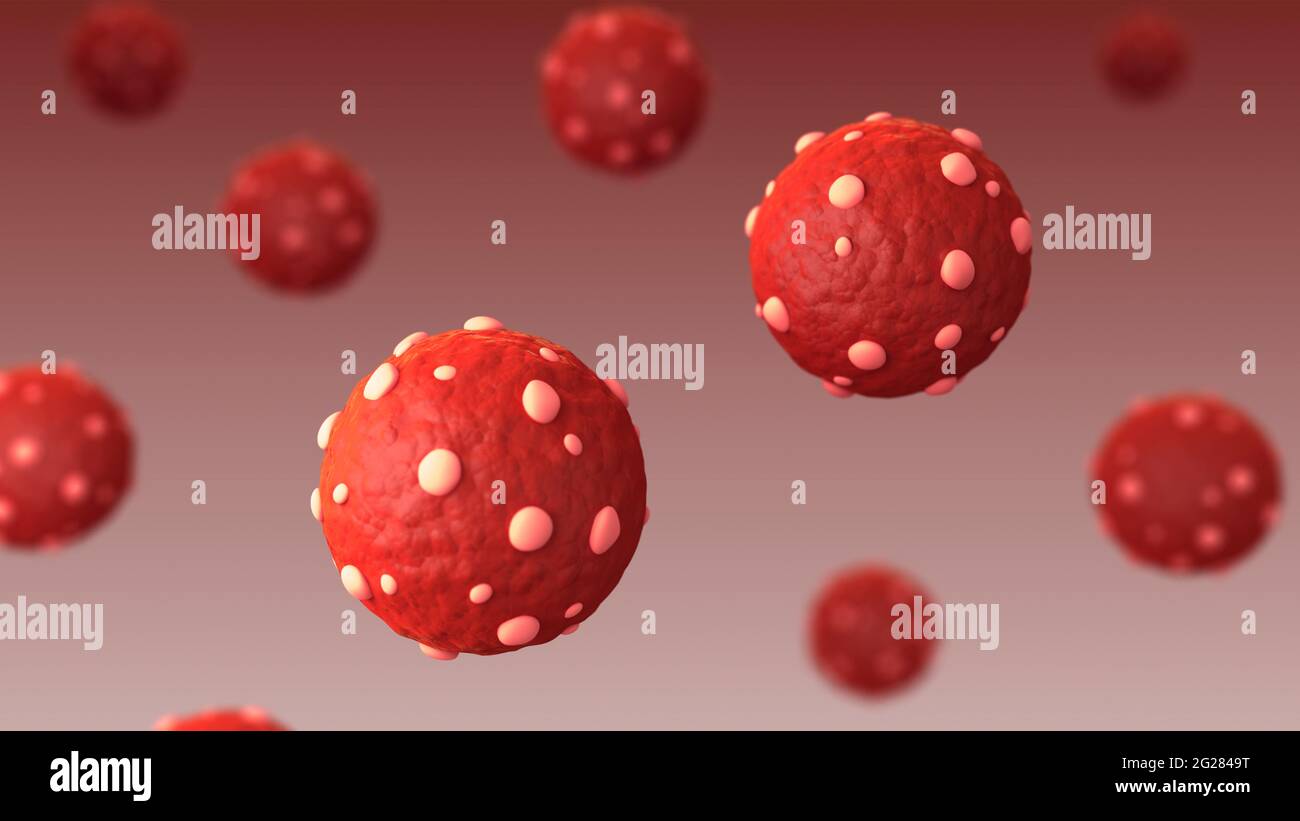 Hantavirus infection hi-res stock photography and images - Alamy