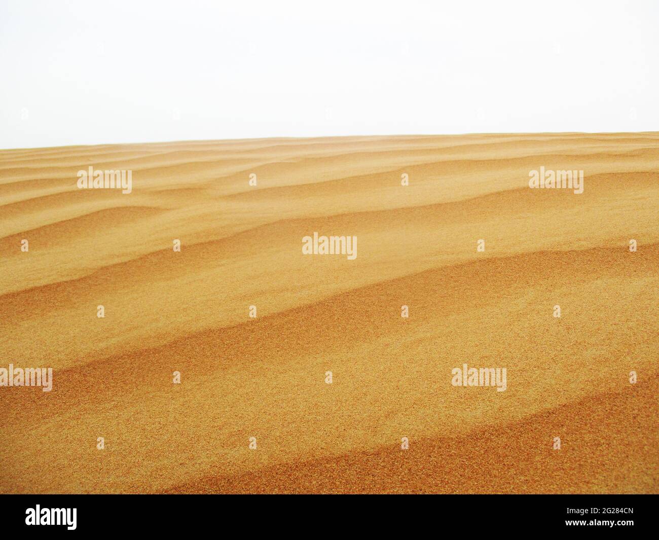 Great Sahara Desert dunes Sand Sea Stock Photo - Alamy