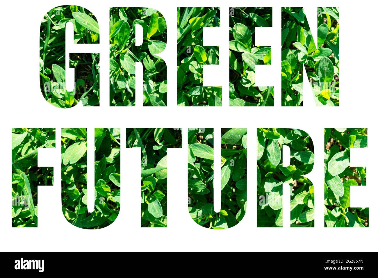 Green Future