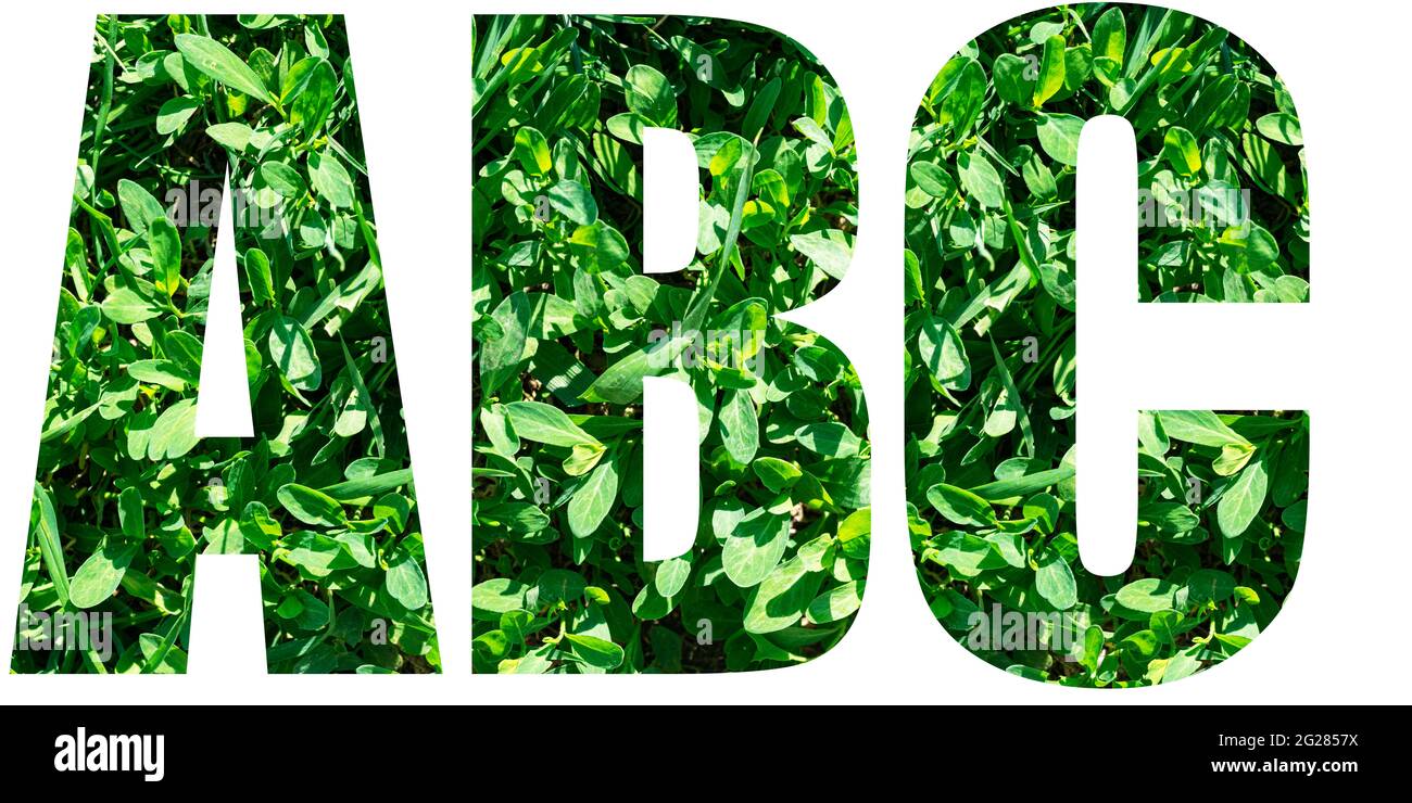 English alphabet letters set. Letters A B C from green grass isolated ...