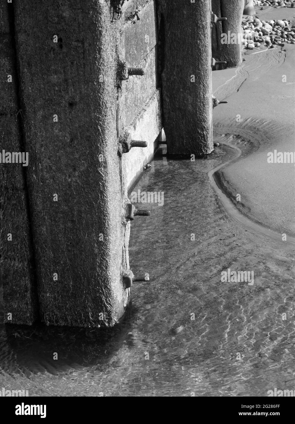 Old wood on a sandy beach Stock Photo - Alamy