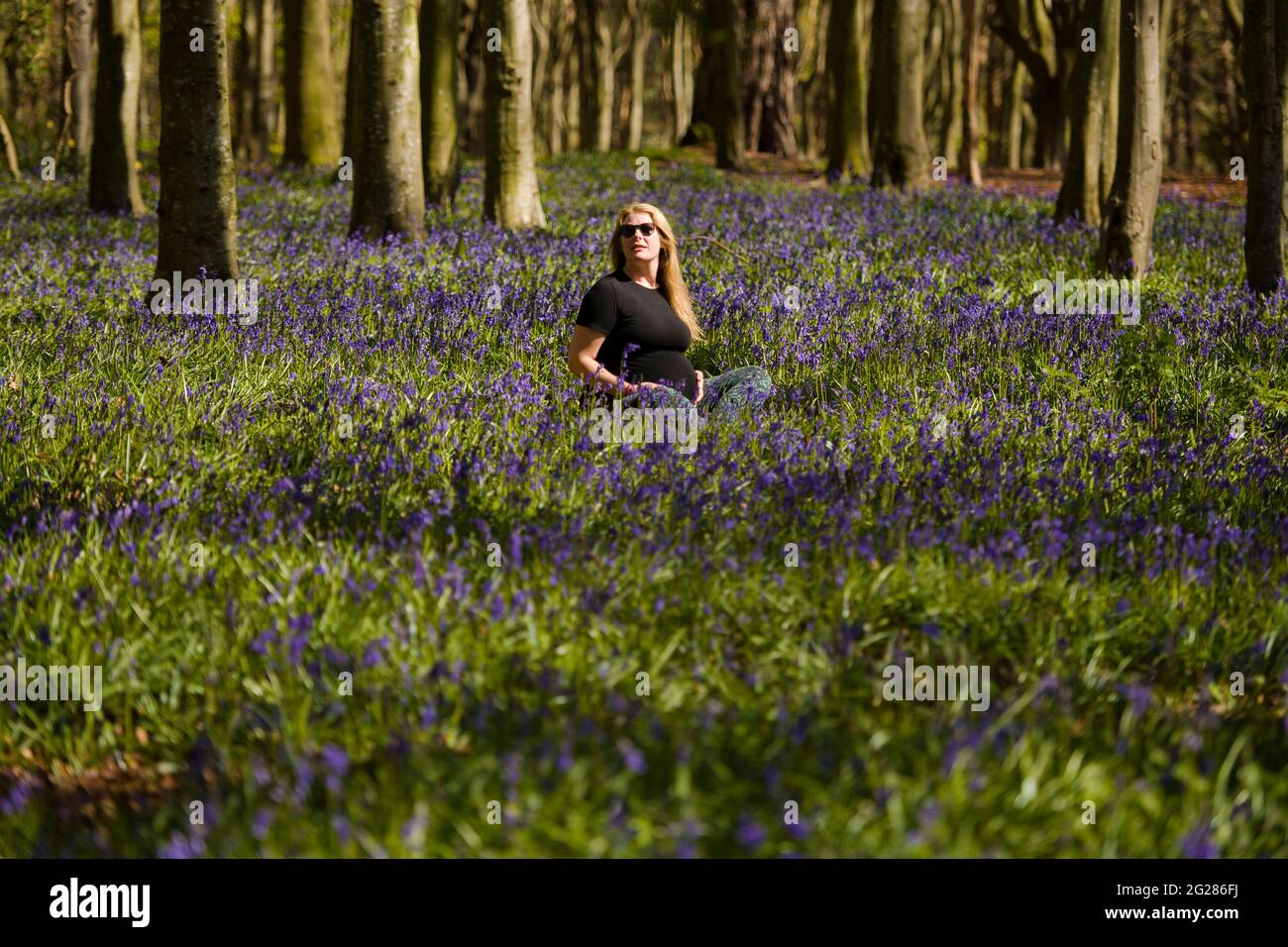Pregnant Alana Davidson (34) sits in fully bloomed Bluebell flowers ...