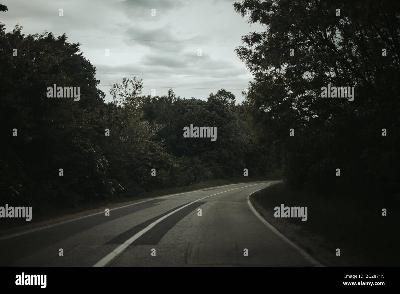 Curvy road surrounded by trees under a cloudy sky in dim colors Stock ...