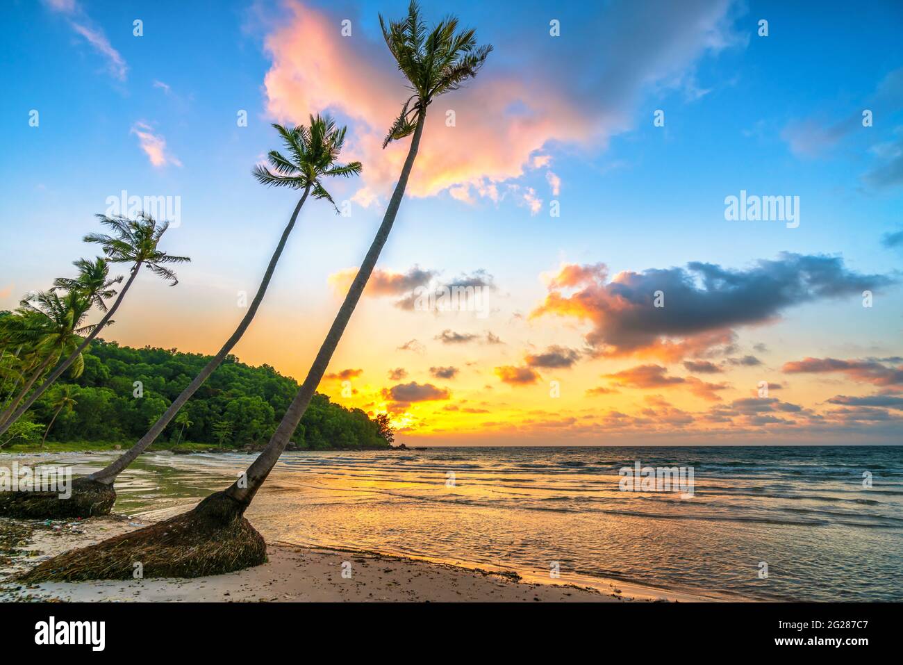 Dawn on a deserted beach with beautiful leaning coconut trees facing ...