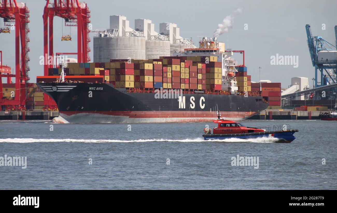 Msc anya hi-res stock photography and images - Alamy